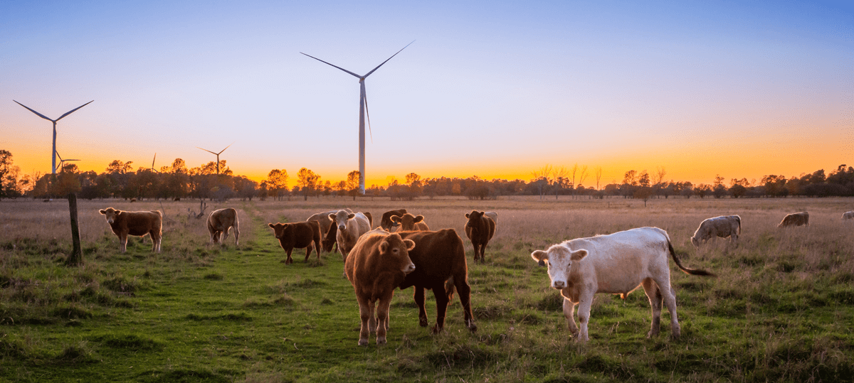 Community Benefits | Lotus Creek Wind Farm